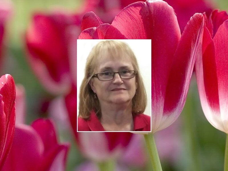 OBITUARY: Eva Gail Hughes Brooks - Maury County Source